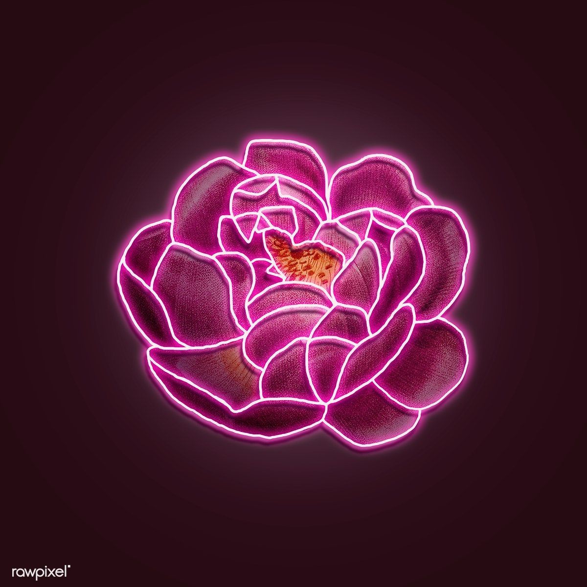 Fondos de pantalla rosa neon - FondosMil