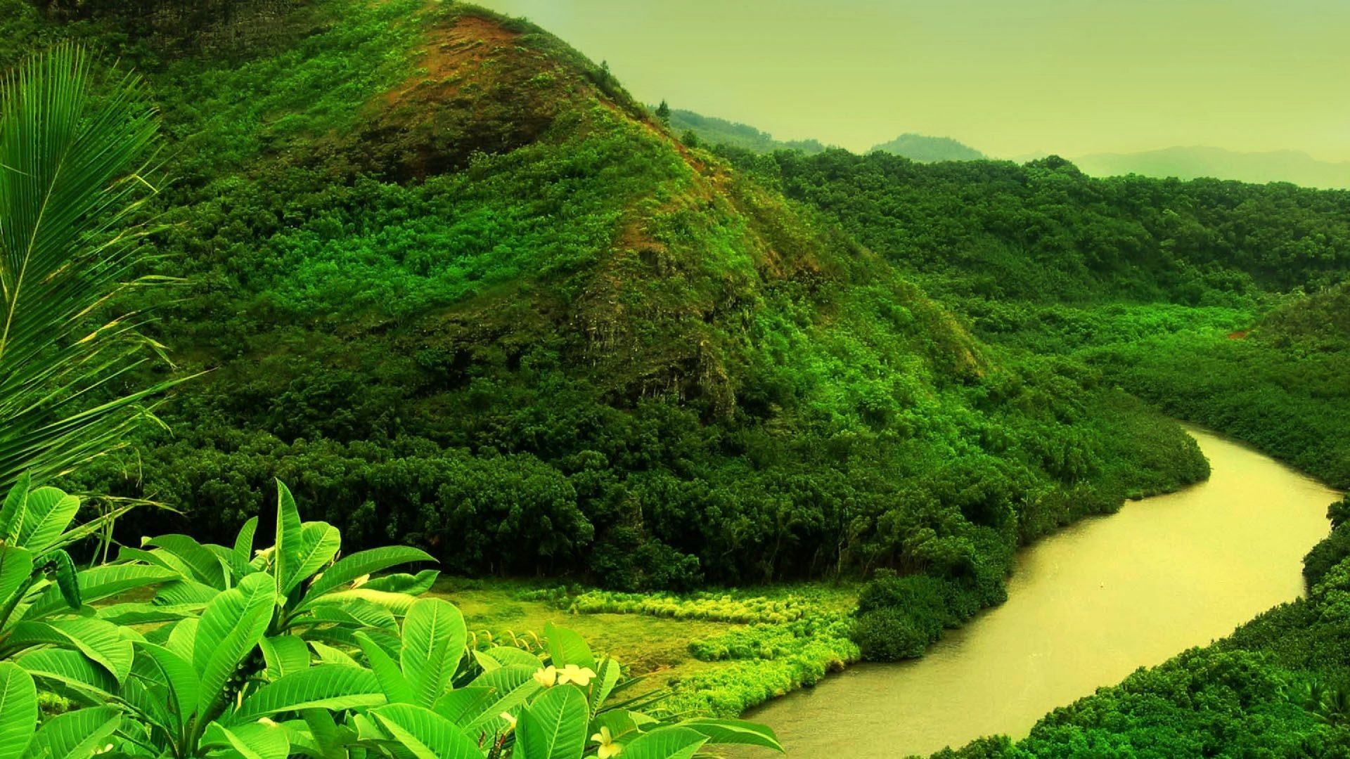 Fondos de pantalla de selvas - FondosMil