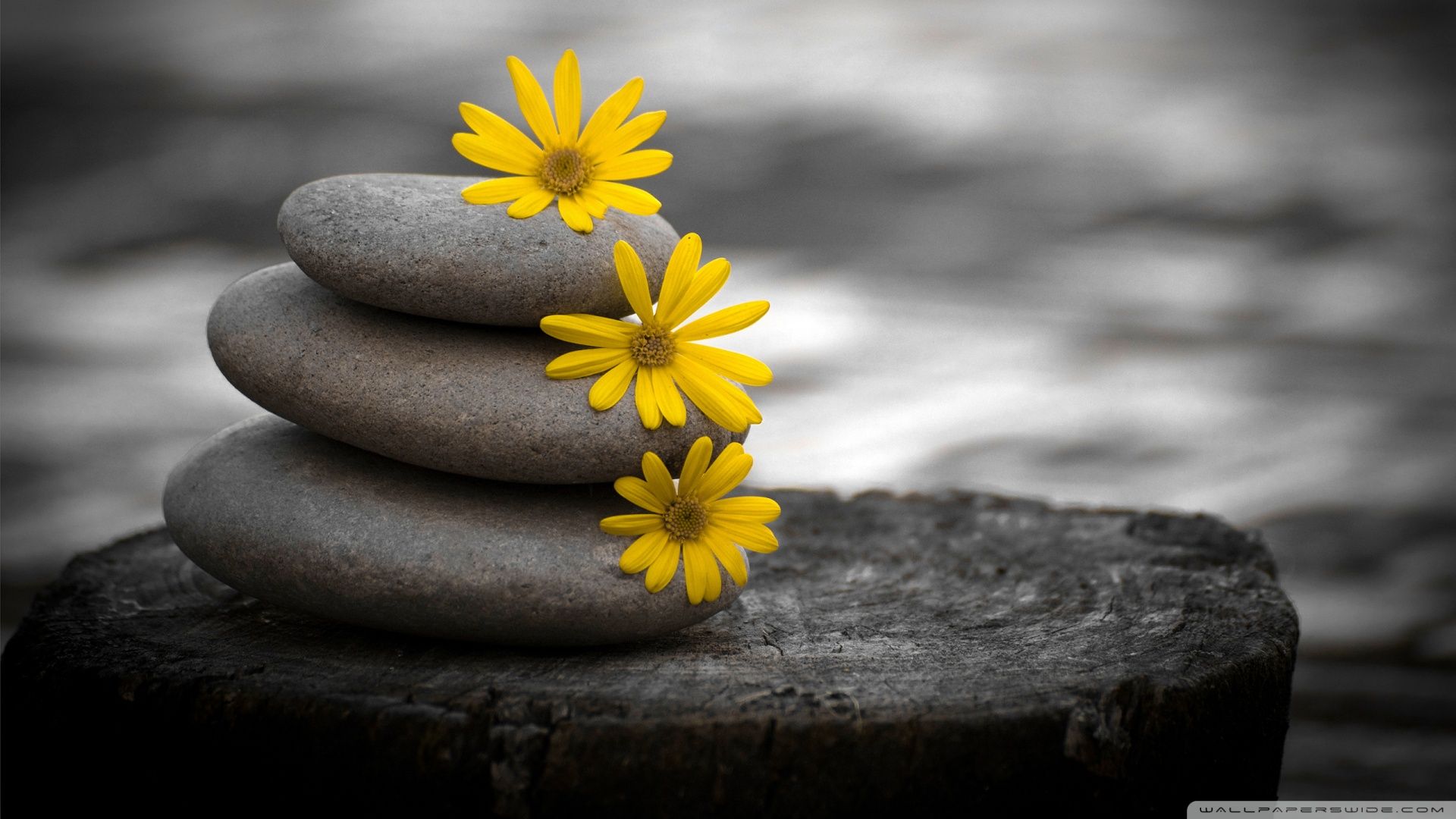 Fondos de pantalla zen - FondosMil